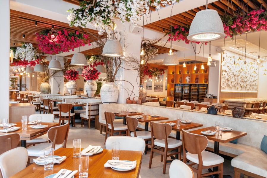 Almyra Restaurant | Philadelphia, PA